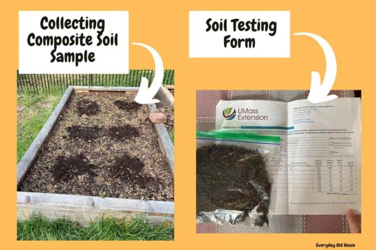 Soil Testing my Veggie Garden for $20 was SO Worth It! Here’s Why ...